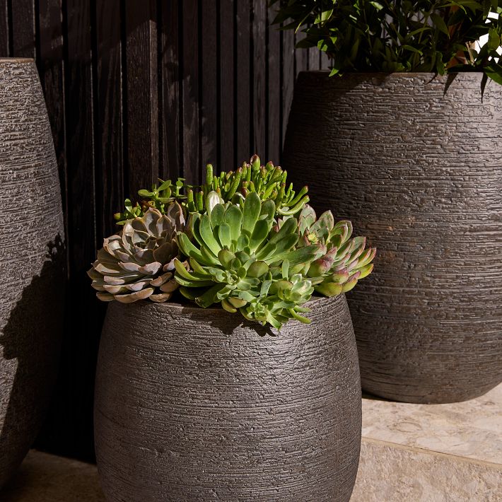Curved Ficonstone Indoor/Outdoor Planters | West Elm Curved Ficonstone Indoor/Outdoor Planters | West Elm
