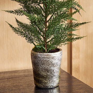Faux Juniper Tree | West Elm