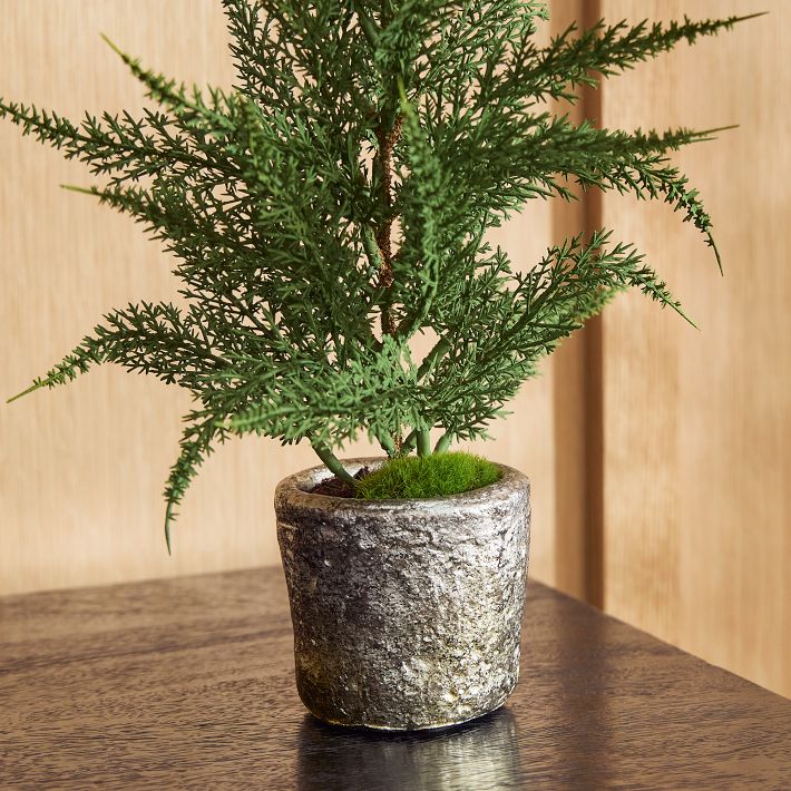 Faux Juniper Tree | West Elm