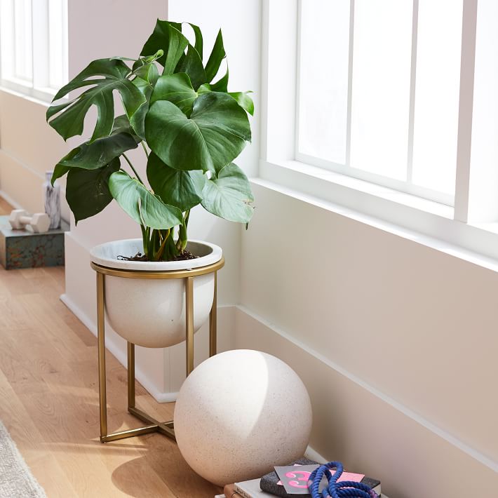 Eden Cross Base Brass Standing Planter | West Elm