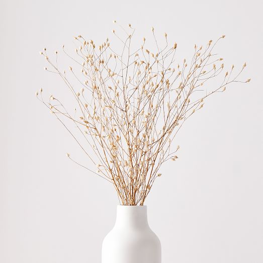 Dried Flax Bunch | West Elm