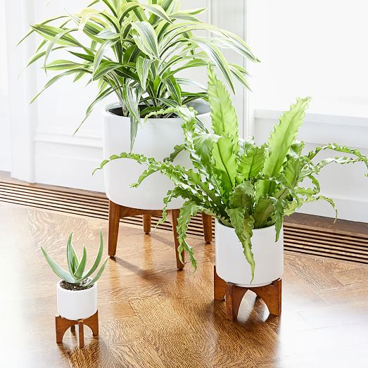 Mid-Century Turned Wood Tabletop Planters | West Elm