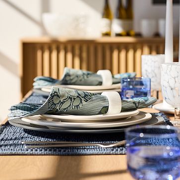 Lucia Wide Rim Dinner Plate Sets | West Elm