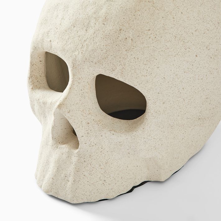 Shape Studies Ceramic Skulls | West Elm