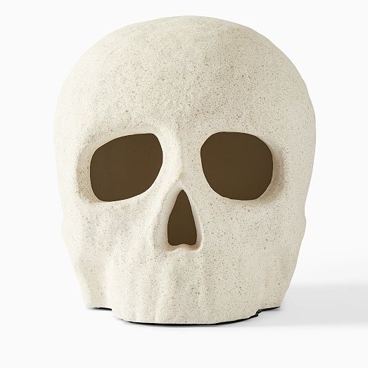 Shape Studies Ceramic Skulls | West Elm