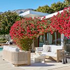 Monti Lava Stone Coffee Table | Modern Living Room Furniture | West Elm