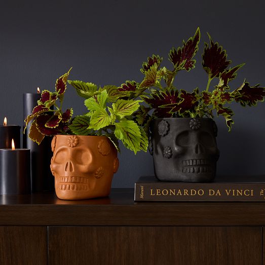 Terracotta Skull Tabletop Planters | West Elm