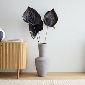 Black Fan Palm | West Elm