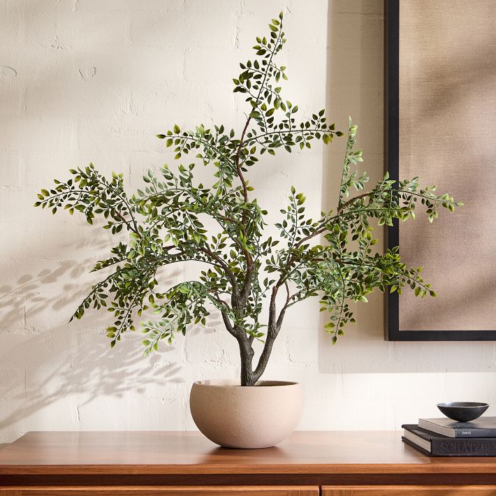 Faux Bonsai Tree | West Elm