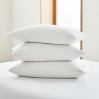 Blended Down Bedding Insert Starter Set | West Elm