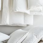 Blended Down Bedding Insert Starter Set | West Elm