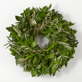 Israeli Ruscus & Olive Wreath | West Elm