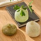 Cleo Glass Bud Vases (Set of 3) | West Elm