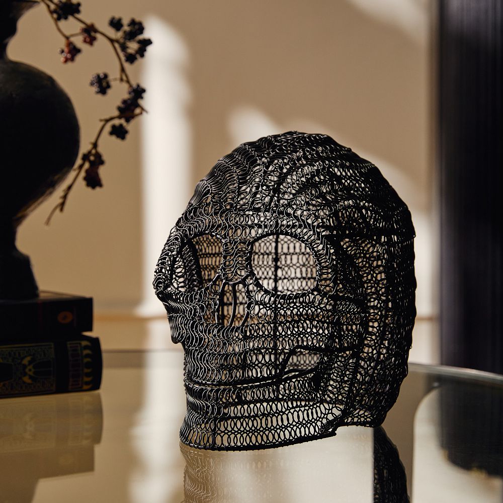 Iron Mesh Skull Sculpture | West Elm