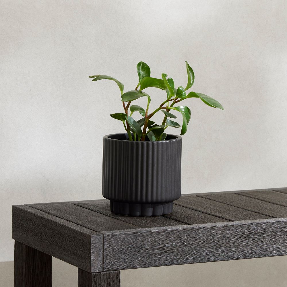 Fluted Ceramic Indoor/Outdoor Planters | West Elm
