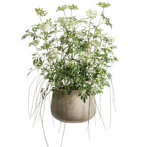 Faux Potted Queen Anne's Lace and Willow Plant | West Elm