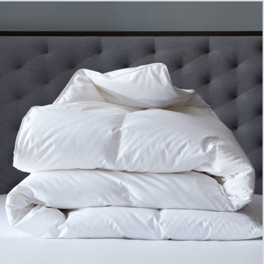 Bedding 101: Guide To Bedding