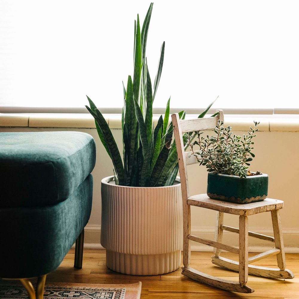 Fluted Ceramic Indoor/Outdoor Planters | West Elm