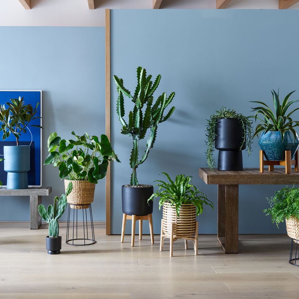 Bishop Tabletop Indoor/Outdoor Planters | West Elm