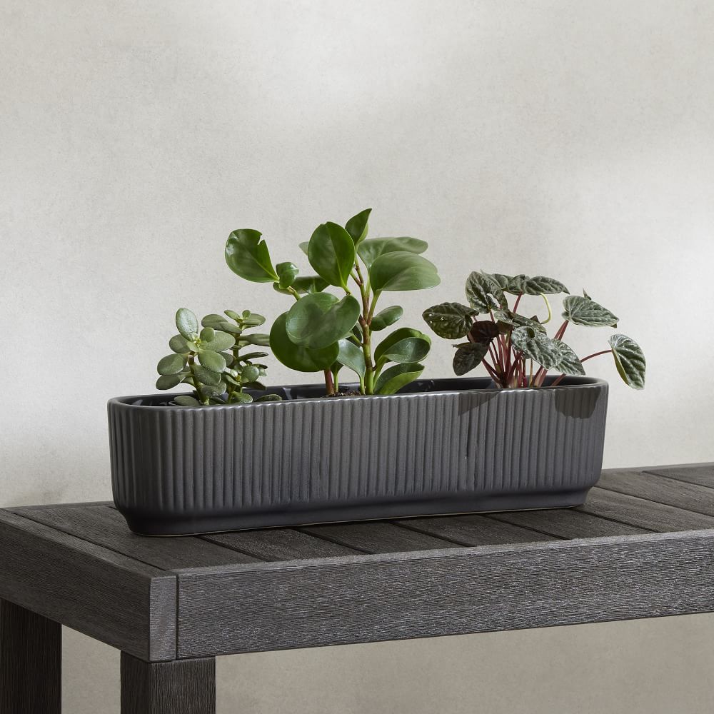 Fluted Ceramic Indoor/Outdoor Planters | West Elm