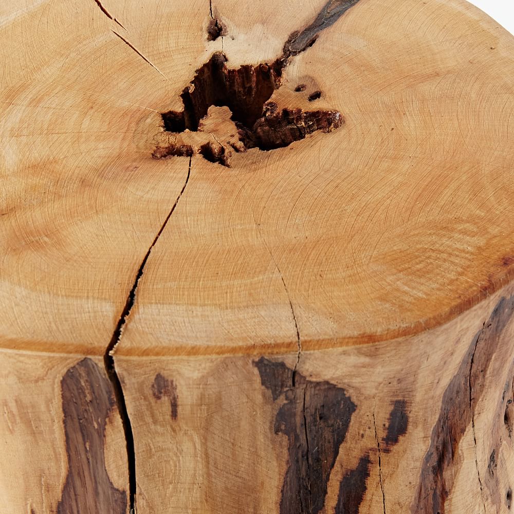 Tree Stump Side Table (12"–15") | West Elm