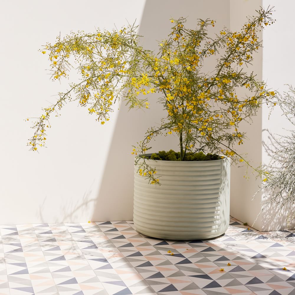 Cecilia Ficonstone Indoor/Outdoor Planters | West Elm