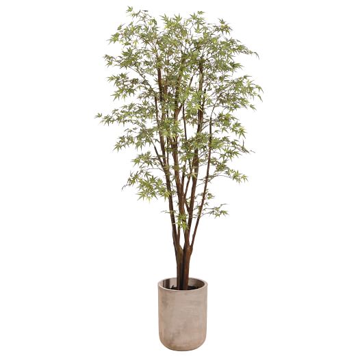 Faux Potted Laurel Tree | West Elm