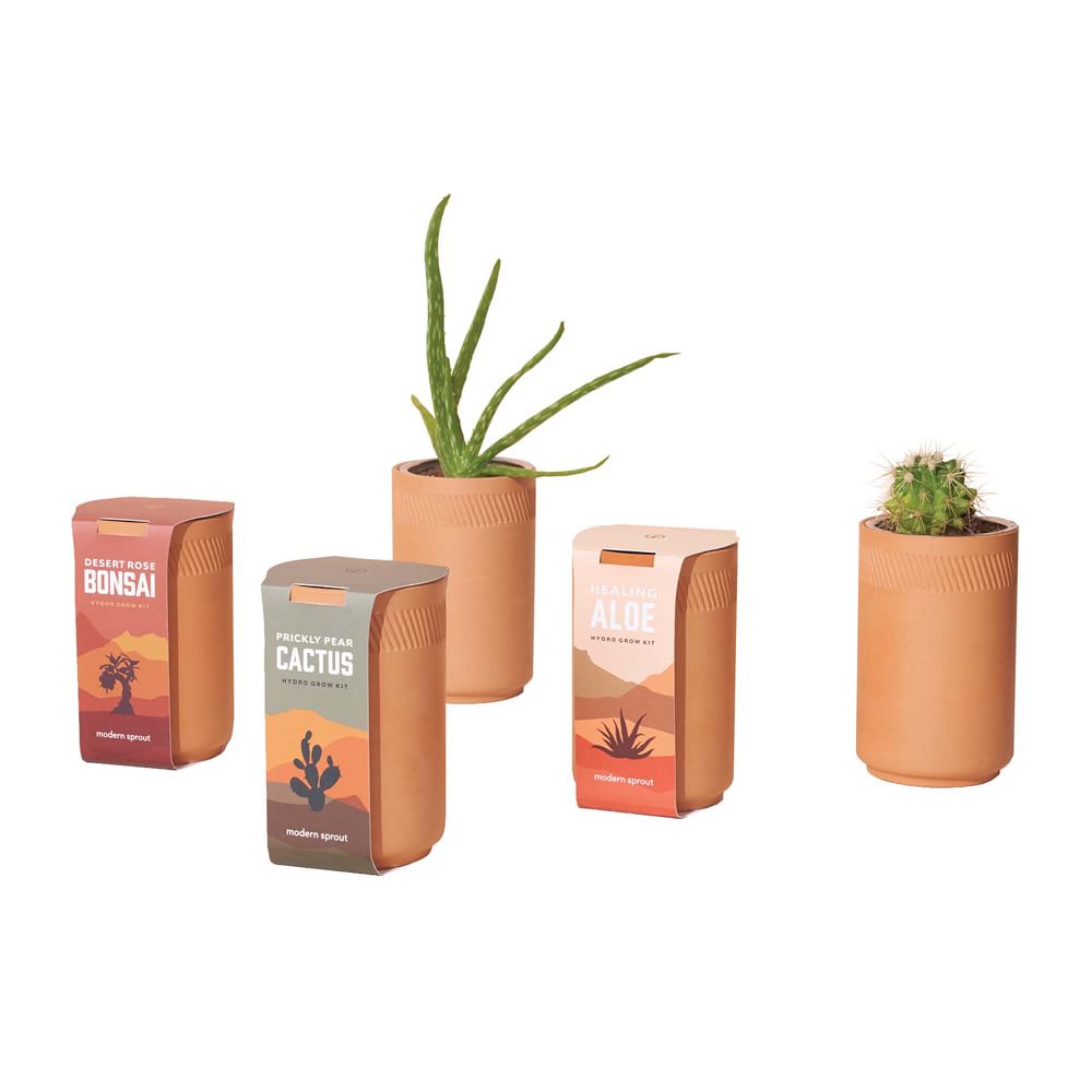 Modern Sprout Terracotta Assorted Grow Kit | West Elm