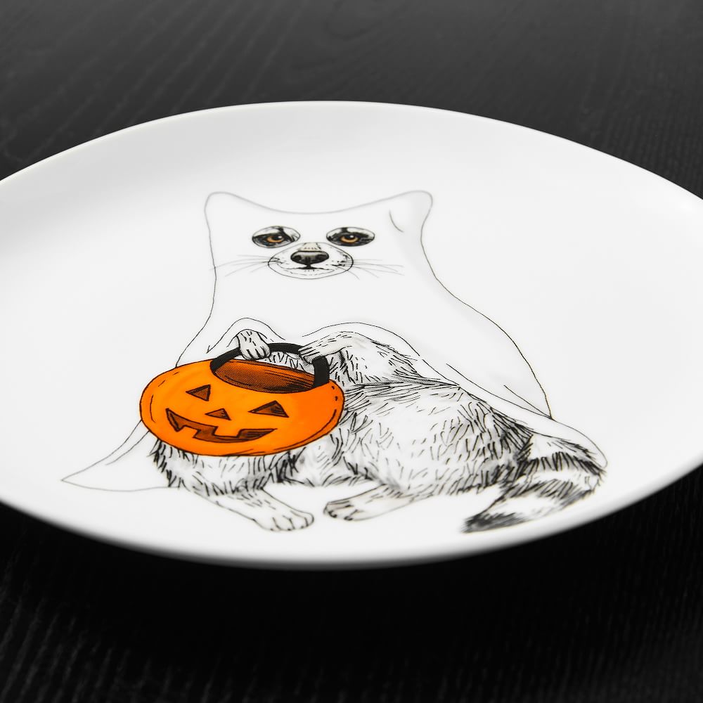 Dapper Animal Halloween Salad Plates | West Elm