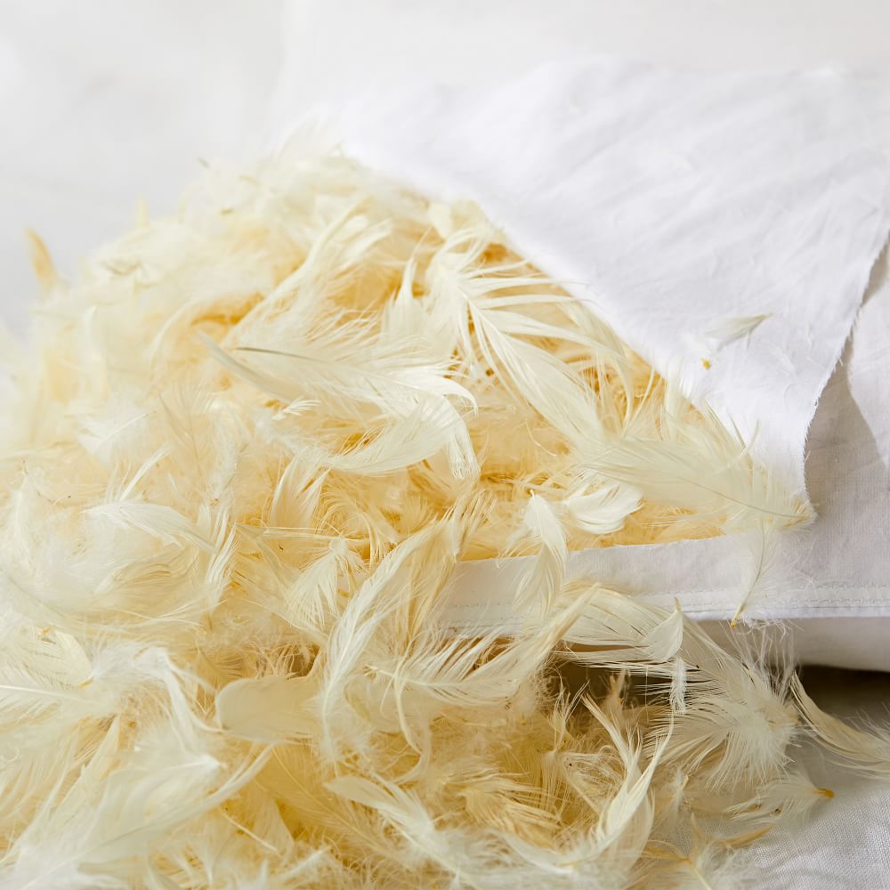 Feather Pillow Insert | West Elm