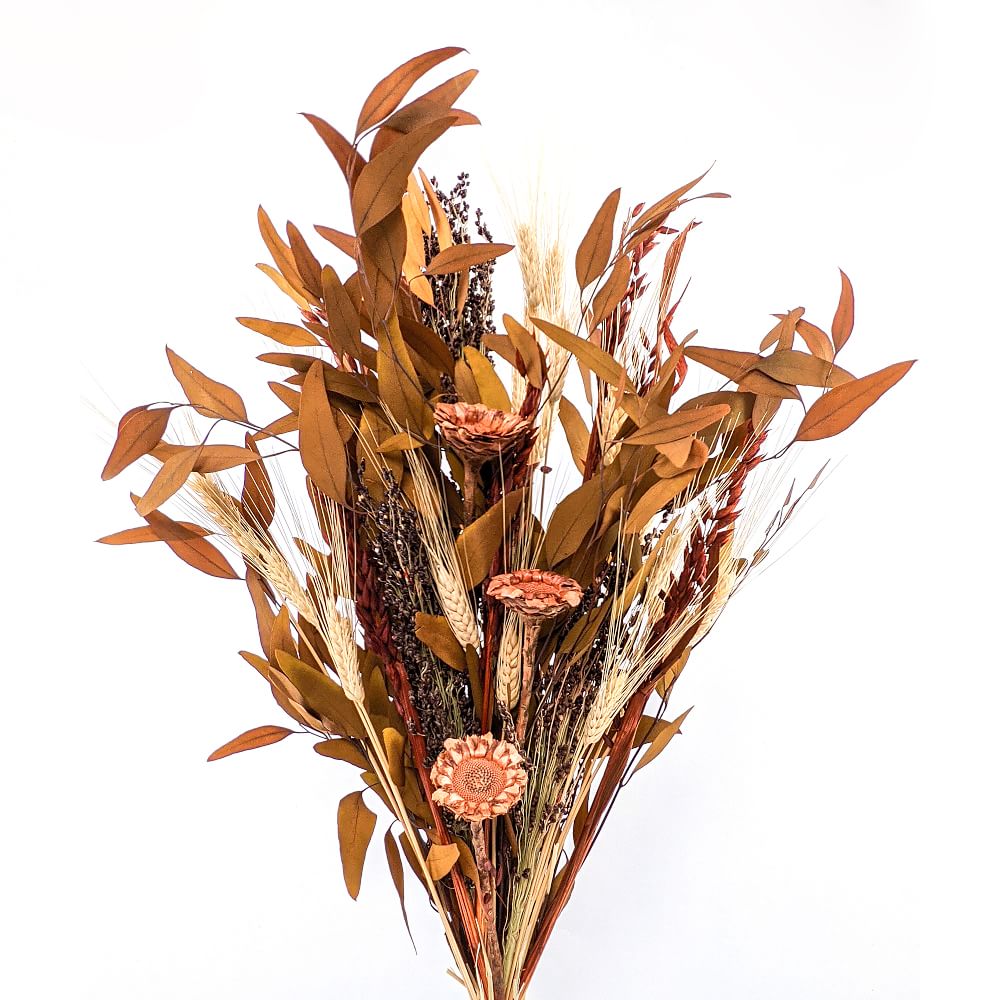 Dried Fox & Fodder Harvest Bouquet | West Elm