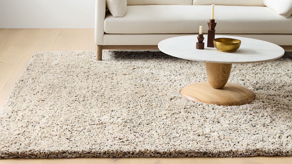 Soft Speckle Low-Shed Shag Rug | West Elm