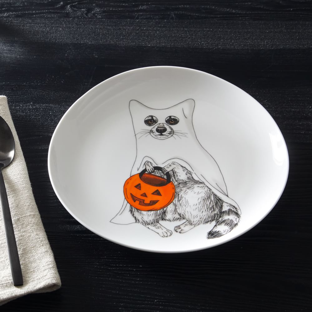 Dapper Animal Halloween Salad Plates | West Elm