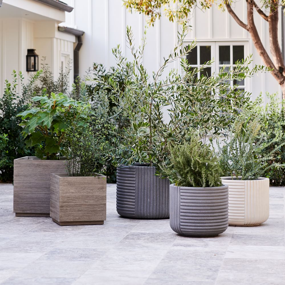 Cecilia Ficonstone Indoor/Outdoor Planters | West Elm