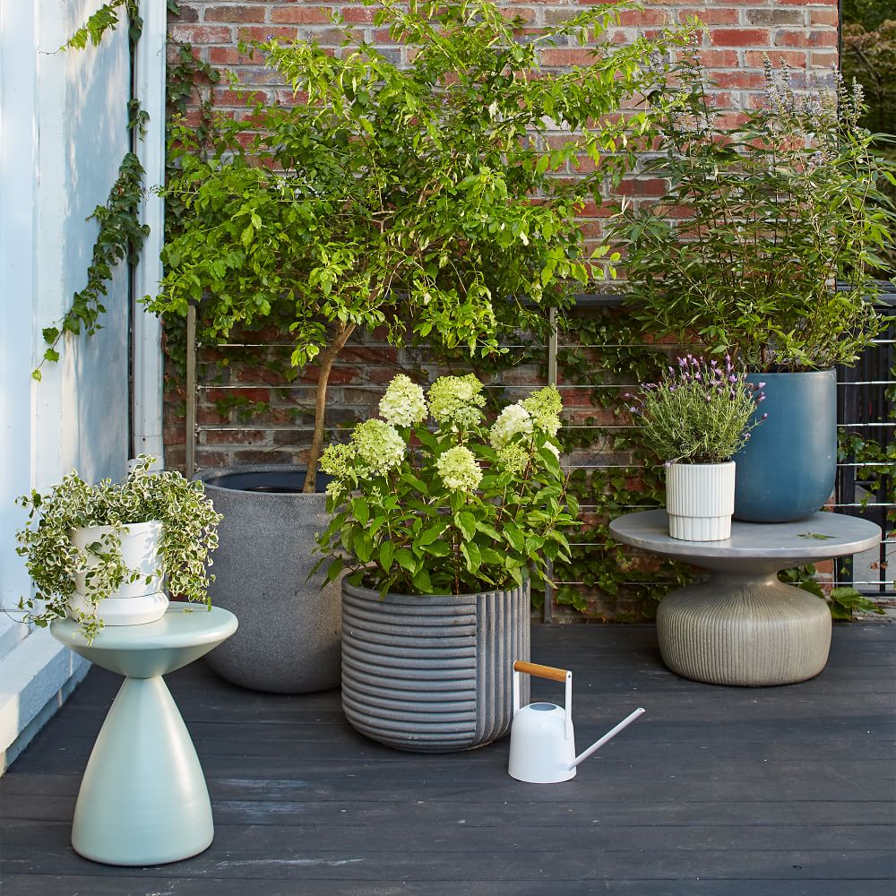 Cecilia Ficonstone Indoor/Outdoor Planters | West Elm