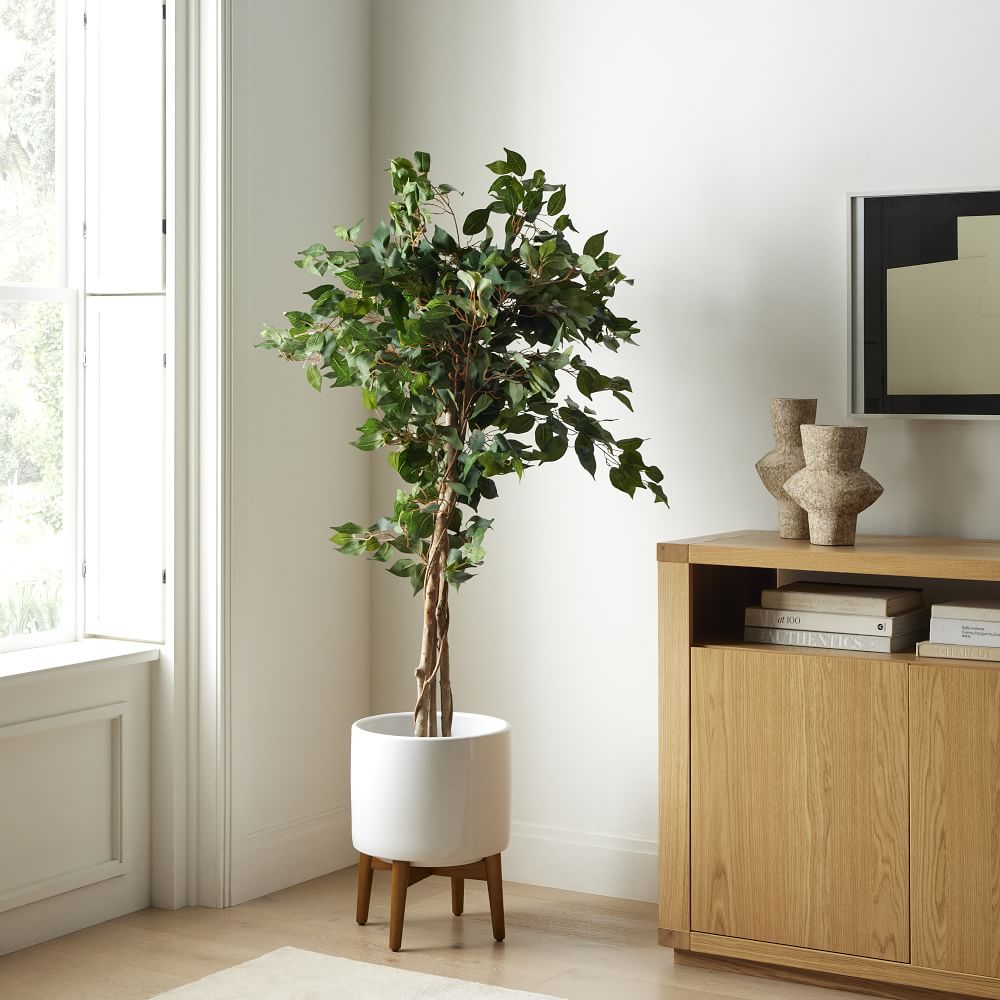 Faux Ficus Tree | West Elm