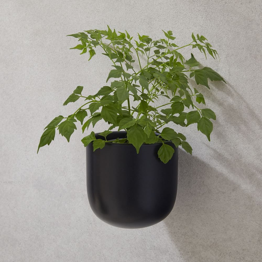 Ceramic Indoor/Outdoor Wallscape Planters | West Elm