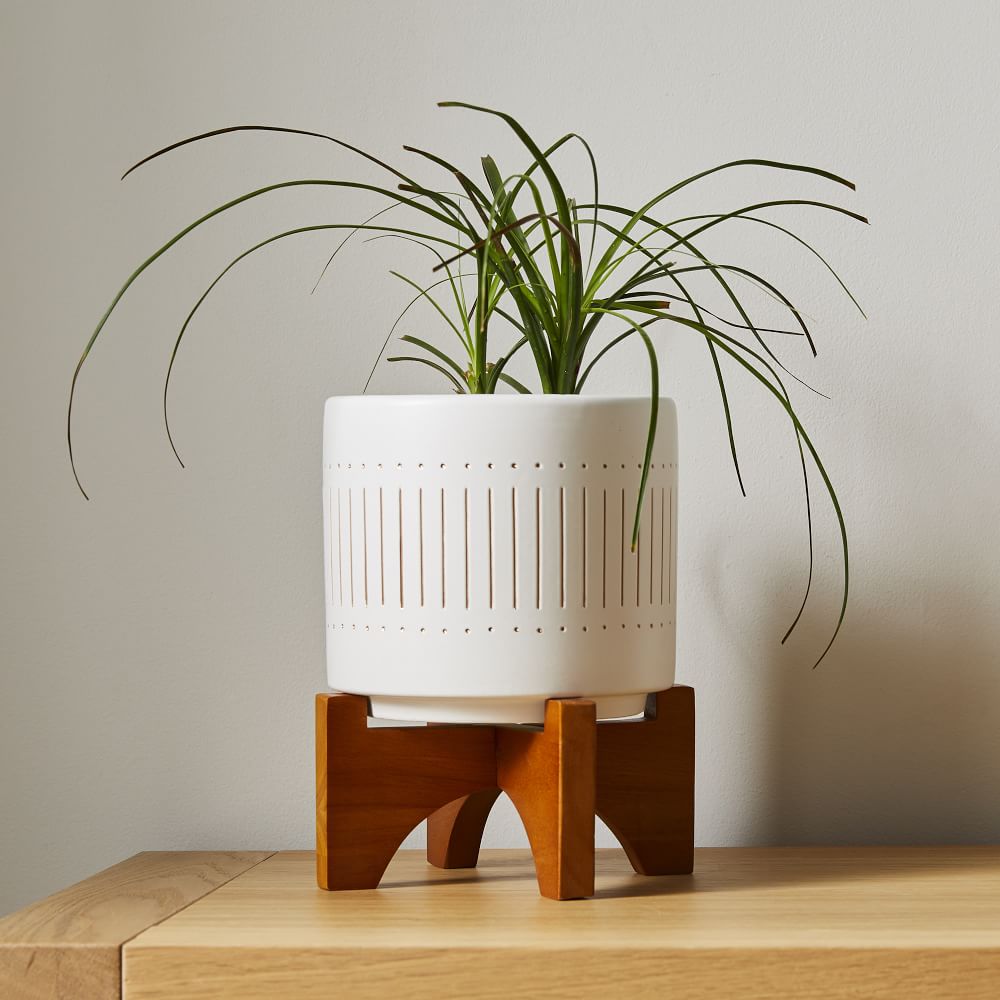 Mid-Century Turned Wood Tabletop Planters - Gold Stripe | West Elm