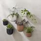 Ceramic Indoor/Outdoor Wallscape Planters | West Elm