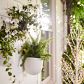 Ceramic Indoor/Outdoor Wallscape Planters | West Elm