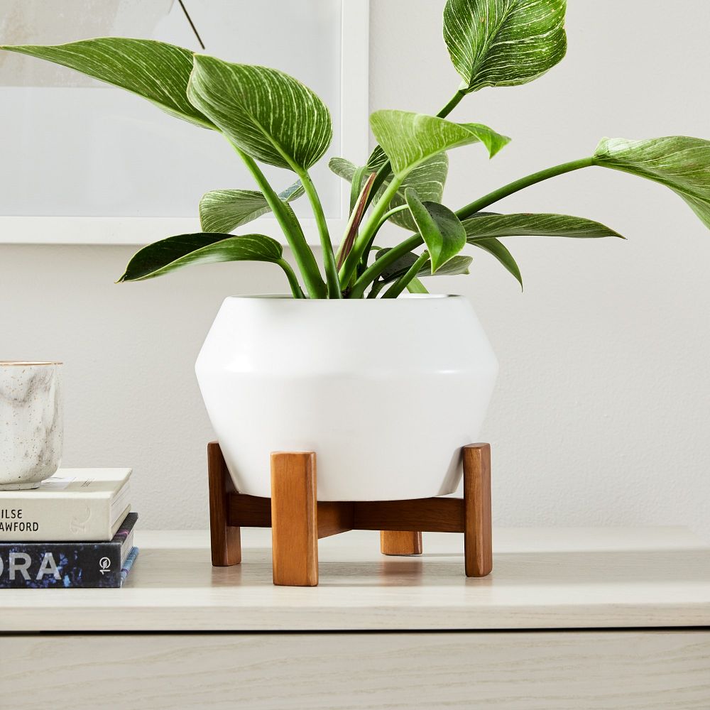 Ilya Turned Wood Tabletop Planters | West Elm