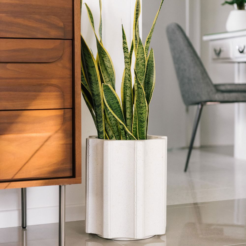 Column Fibrestone Indoor/Outdoor Planters | West Elm