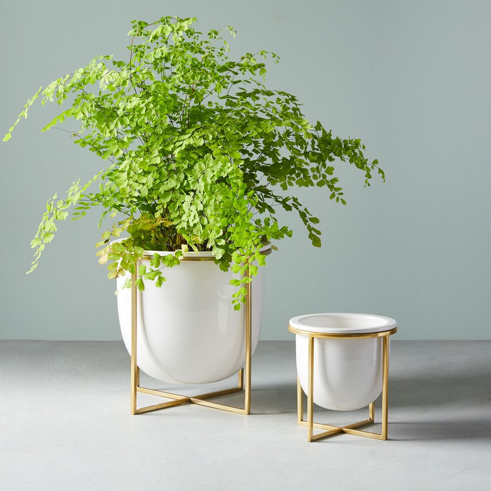 Eden Cross Base Tabletop Planters - White | West Elm