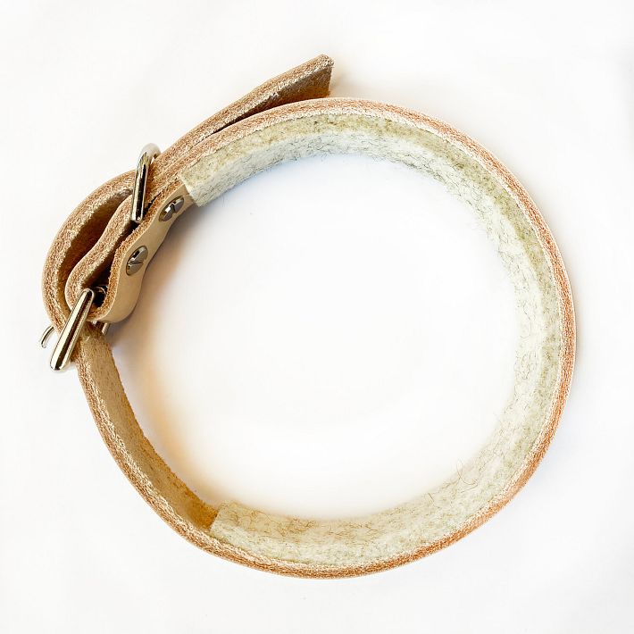 House Dogge Comfy Collar | West Elm