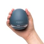 Steamery Pilo Fabric Shaver | West Elm