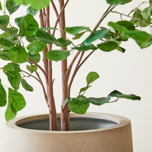 Faux Potted Ficus Tree & Helena Planter Bundle | West Elm