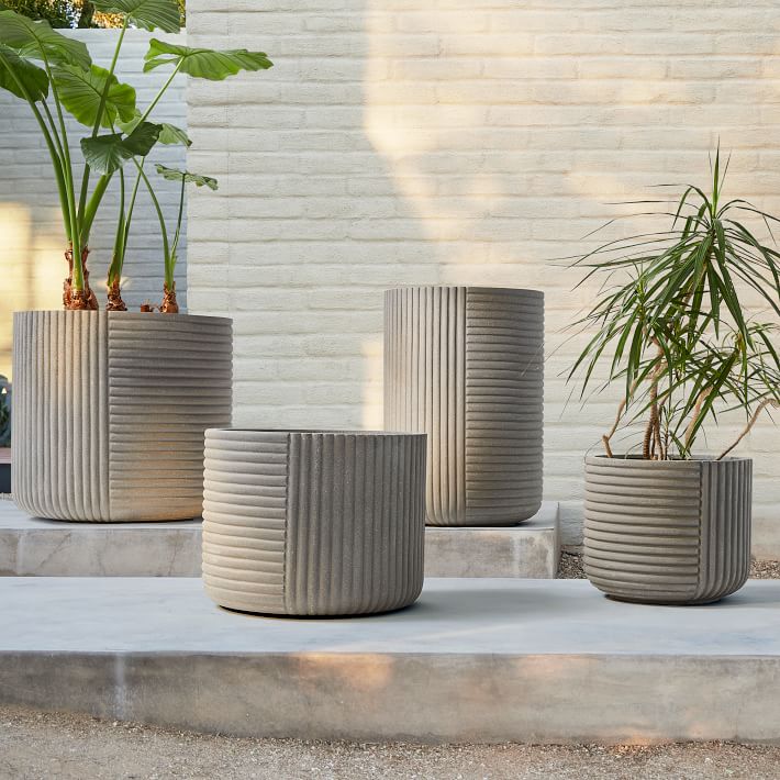 Cecilia Ficonstone Indoor/Outdoor Planters | West Elm
