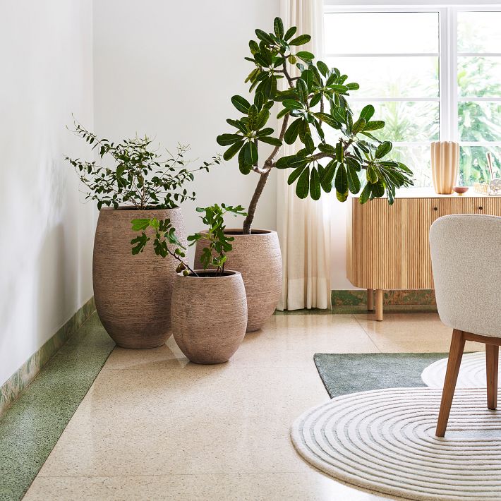 Curved Ficonstone Indoor/Outdoor Planters | West Elm