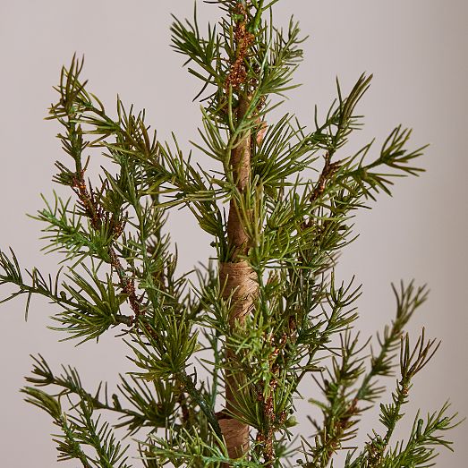 Faux Potted Alpine Tree w/ Pine Cones | West Elm