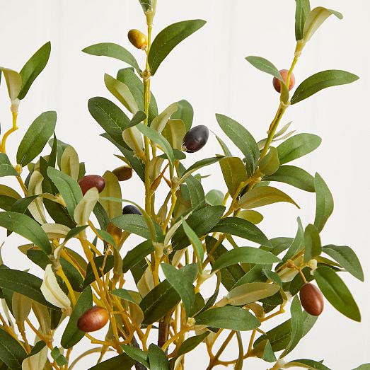 Faux Potted Tabletop Olive Tree - Set of 2 | West Elm